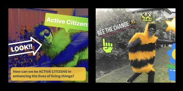 Challenge: BEE the Change! - Apple Education Community